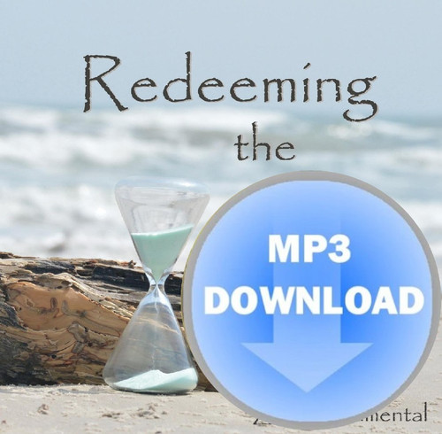 Redeeming the Time MP3 by Zion's Harp Instrumental - Melt the Heart