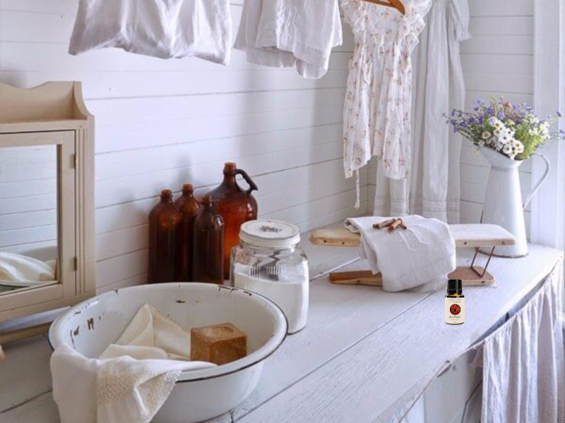 Uses for Blockade Multi Purpose EO - The Herbal Toad