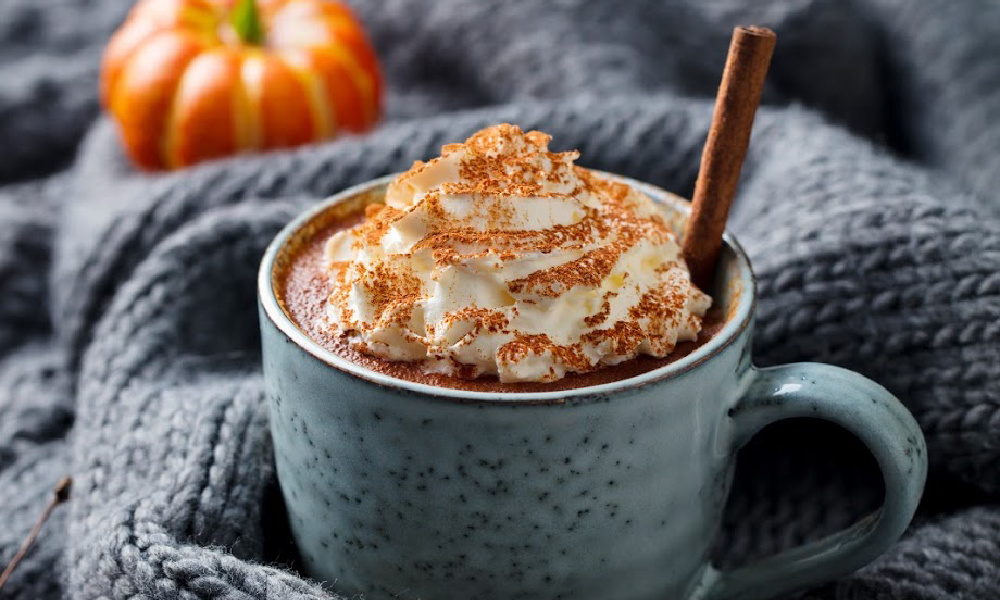 Pumpkin Pie Hot Cocoa Recipe - The Herbal Toad