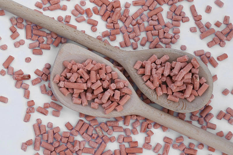 Quality Bird Food │ Kennedy Wild