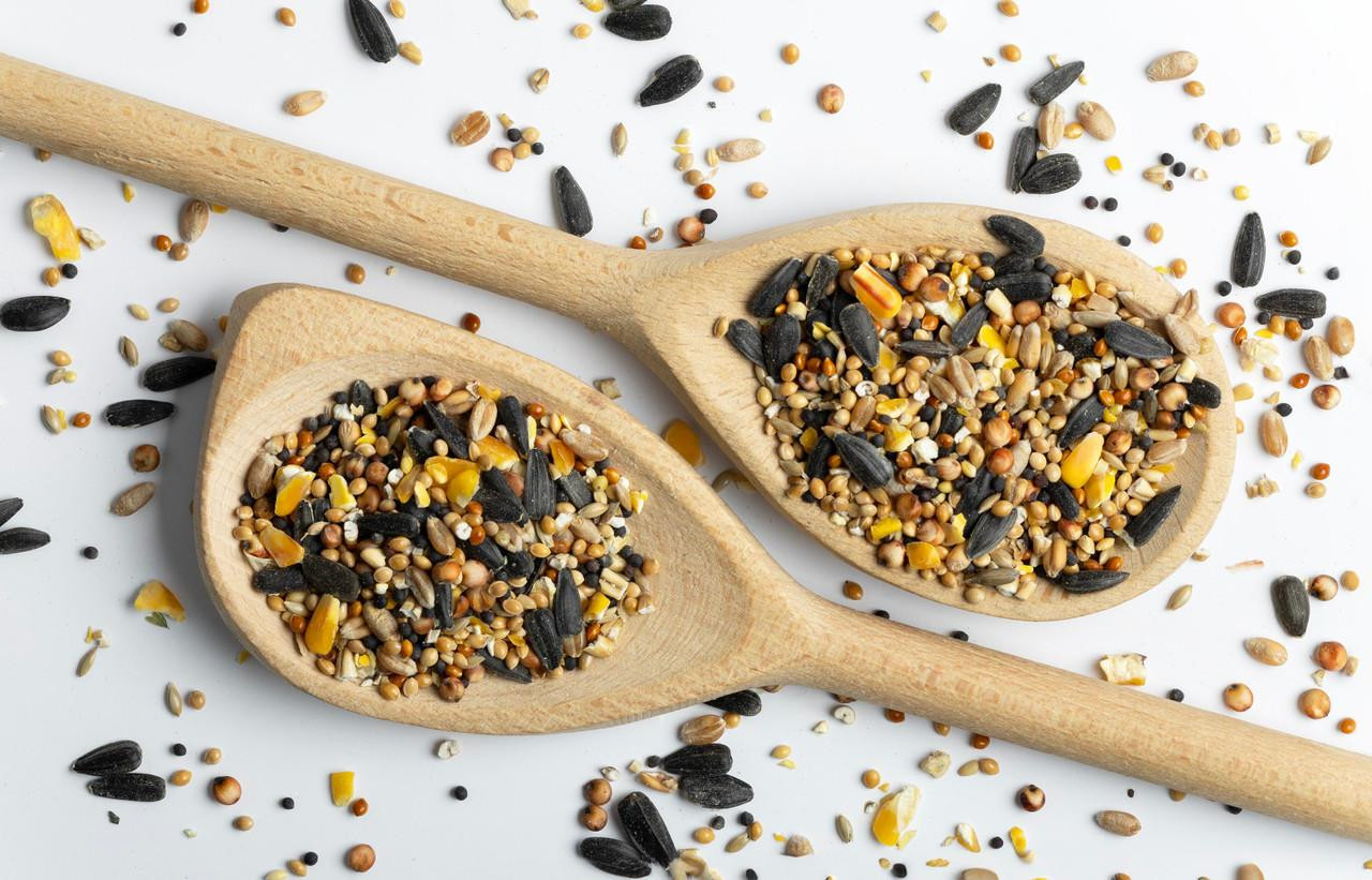 British Birds A-Z | Bird Guides | Kennedy Wild Bird Food
