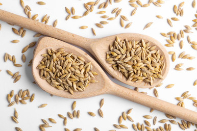 Barley for Birds, Poultry & Live Stock Feed