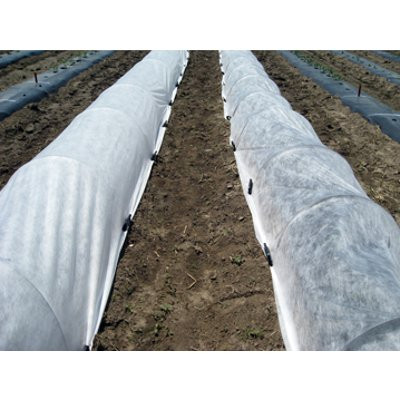 Row Covers | Floating Row Cover | How To Protect Plants From Frost ...