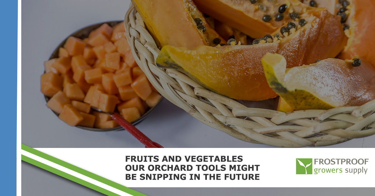 Fruits And Vegetables Our Orchard Tools Might Be Snipping In The Future ...