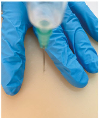 IM puncture trainer small animal