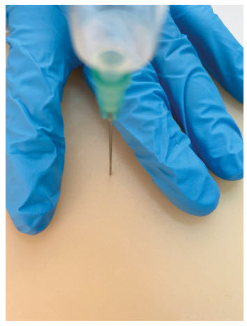 IM Puncture Training Small Animal