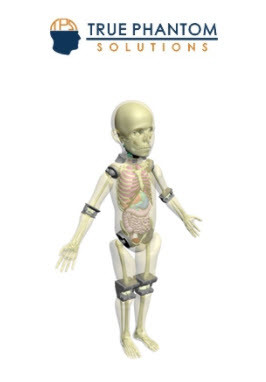 Abdomen Phantom for CT, Xray and Radiation Therapy