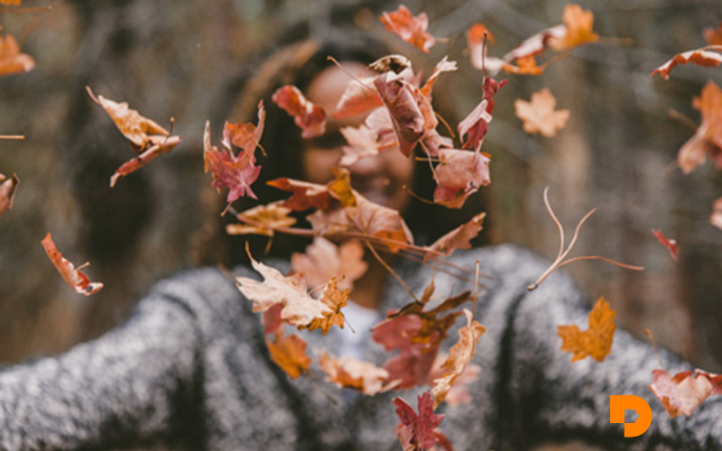Tips for Making Your Home Fall-Ready - Decorsify