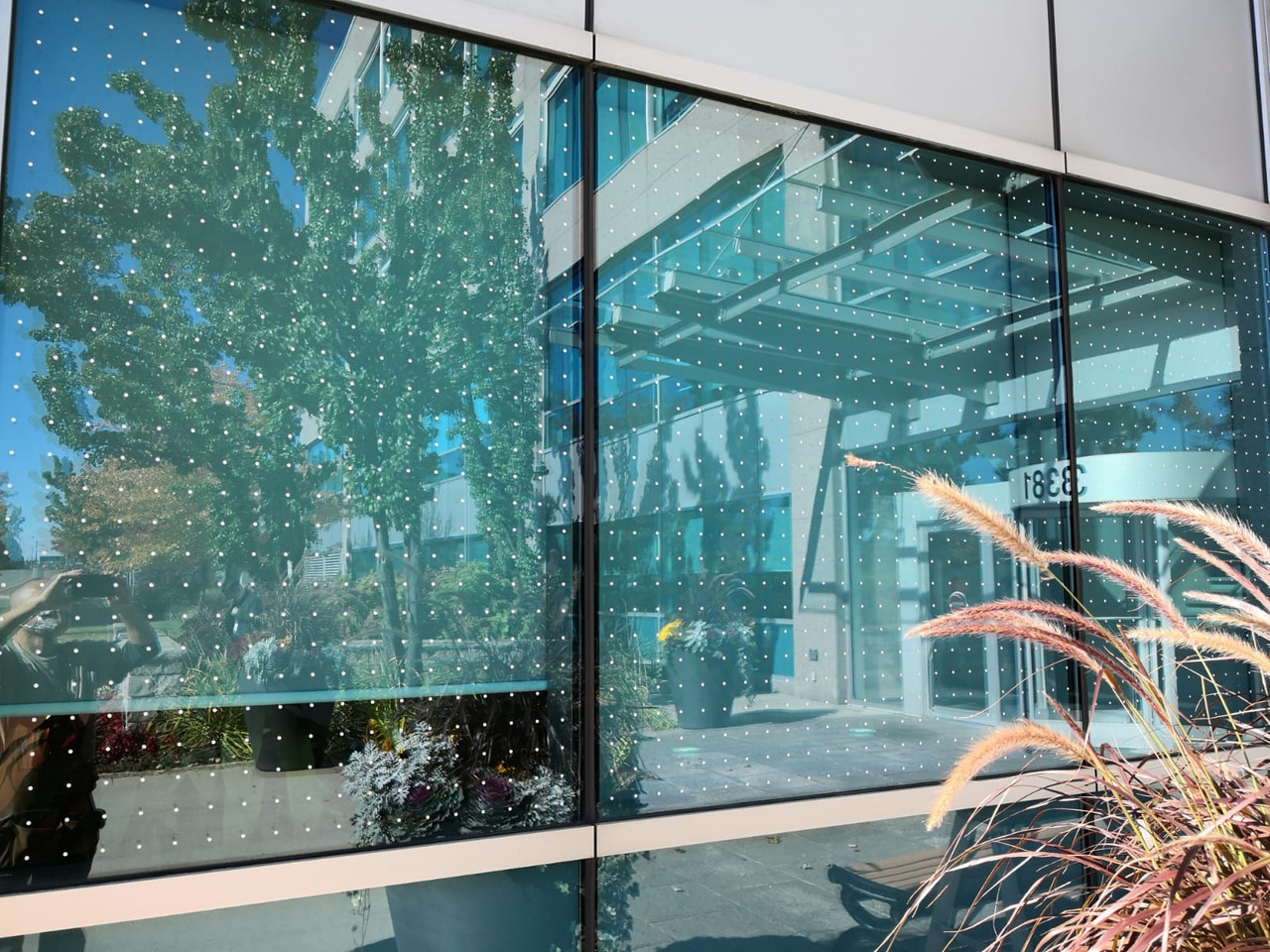 Bird Distraction Pattern - Apex Window Films
