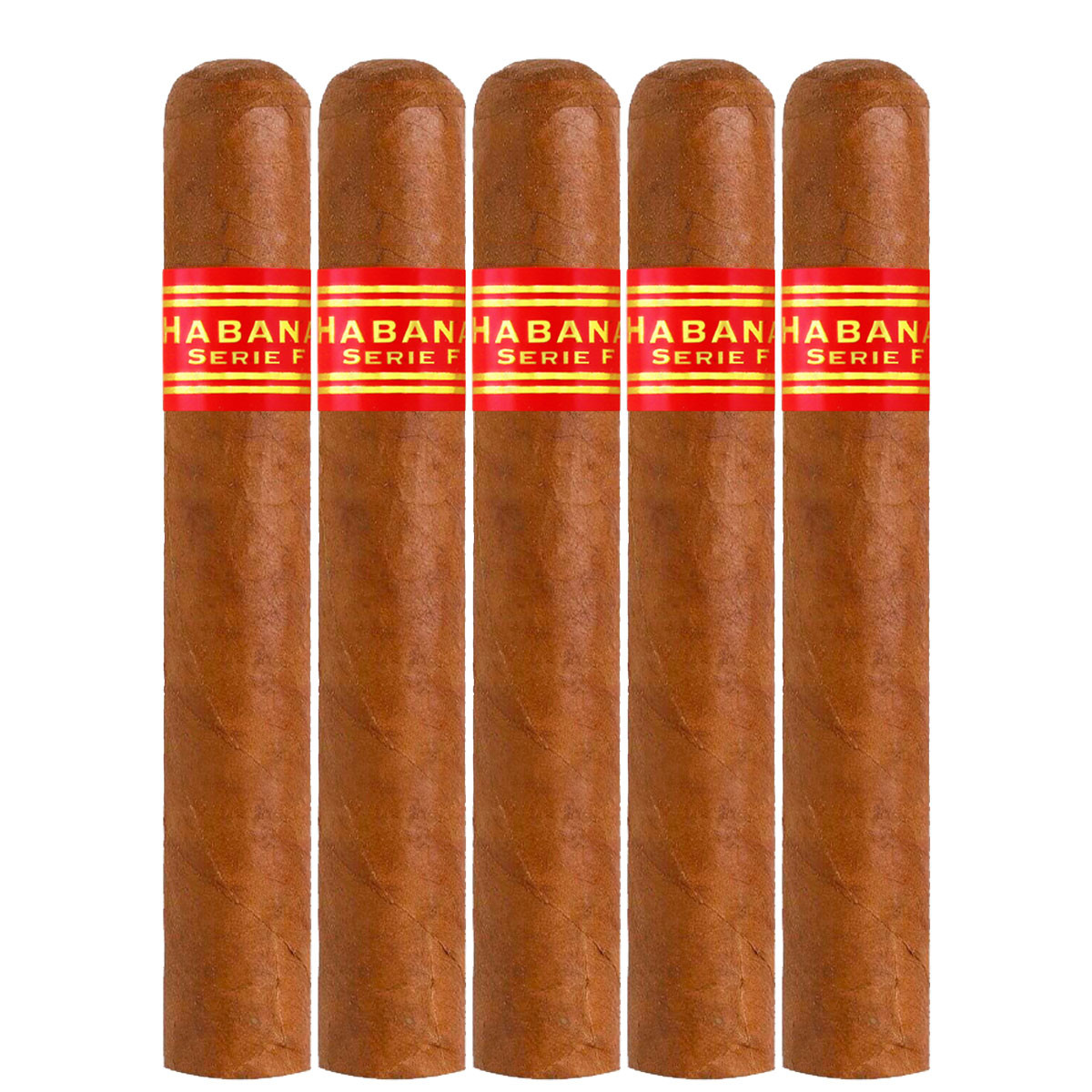 AJ Fernandez Habana Leon Serie F. 2000 Gordo (6x60 / 5 Pack) | Cigar King