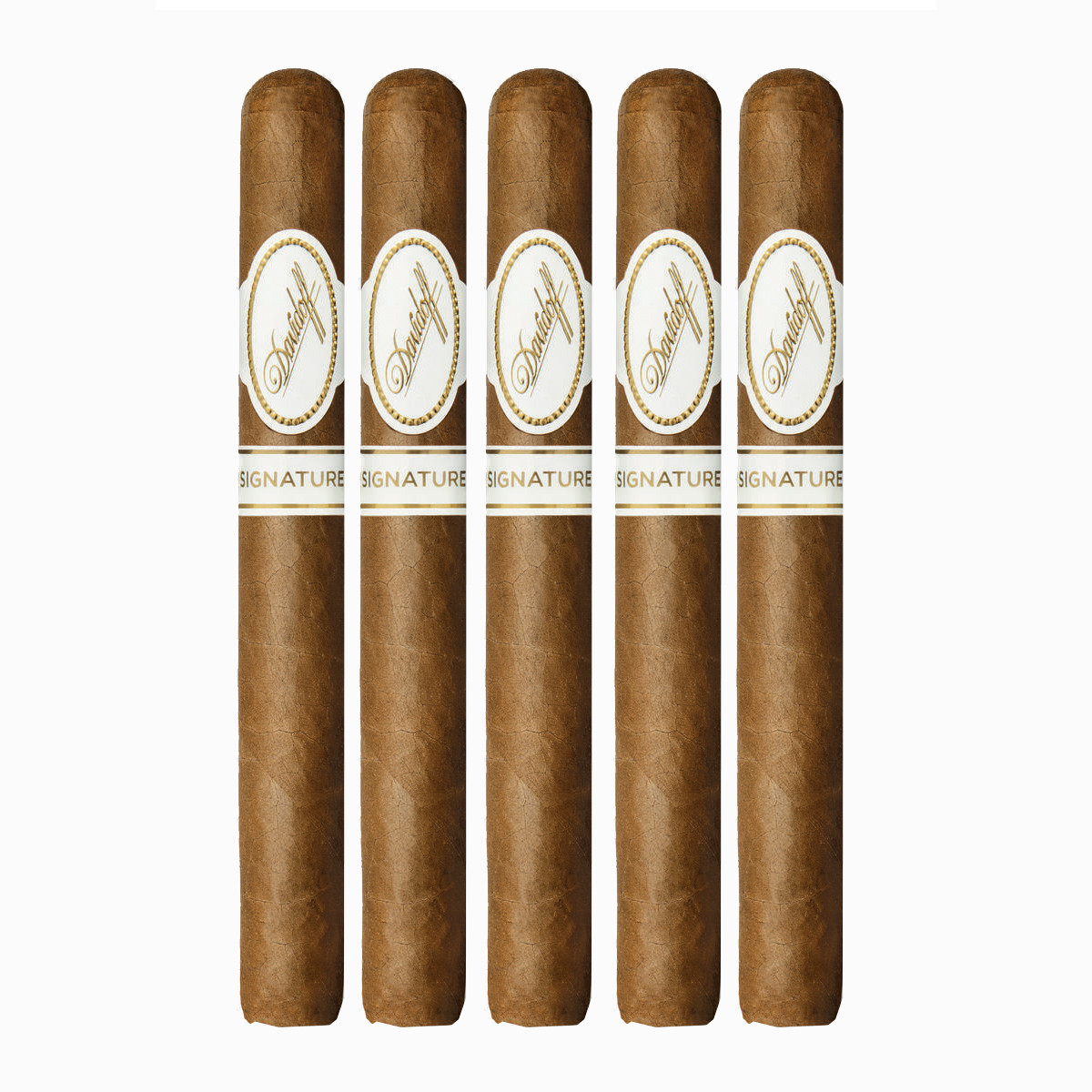 Davidoff Signature 1000 (4.6x34 / 5 Pack) | Cigar King