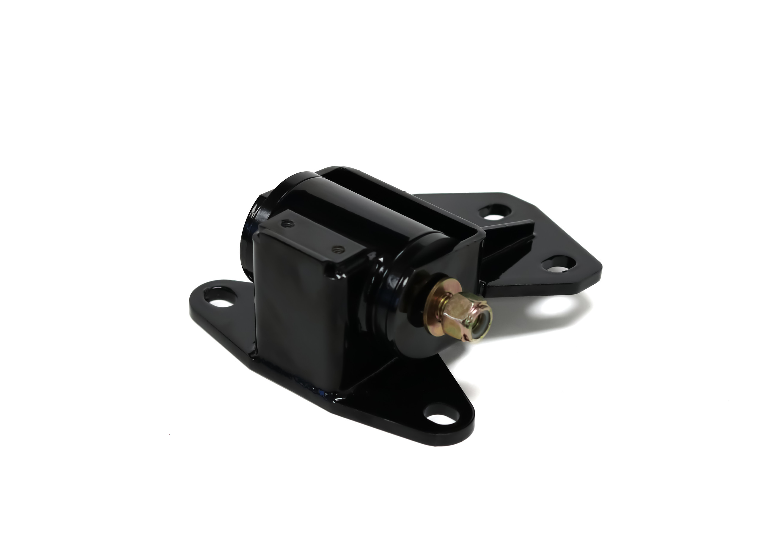 2014 - 2019 Ford Fiesta ST Engine Mount Kit - AWR Store