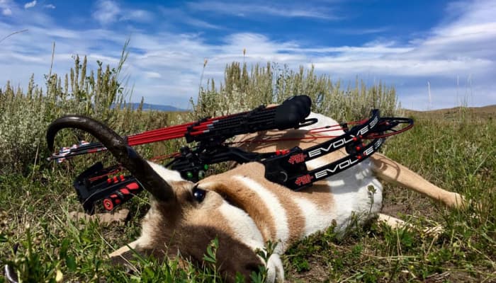 Protection from the Elements - Maverick® Hunting