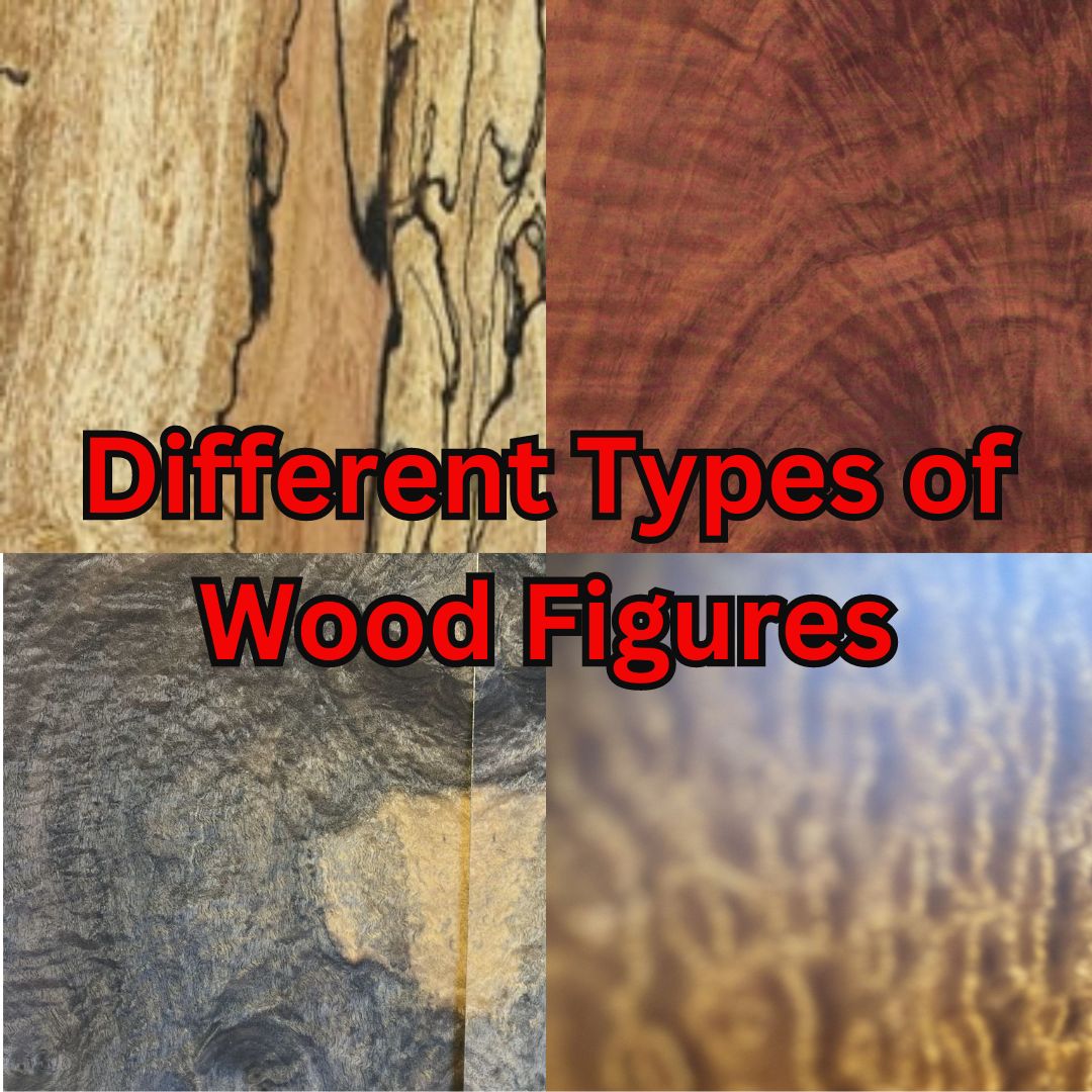 The Beauty of American Hardwoods: Exploring the Different Types of ...