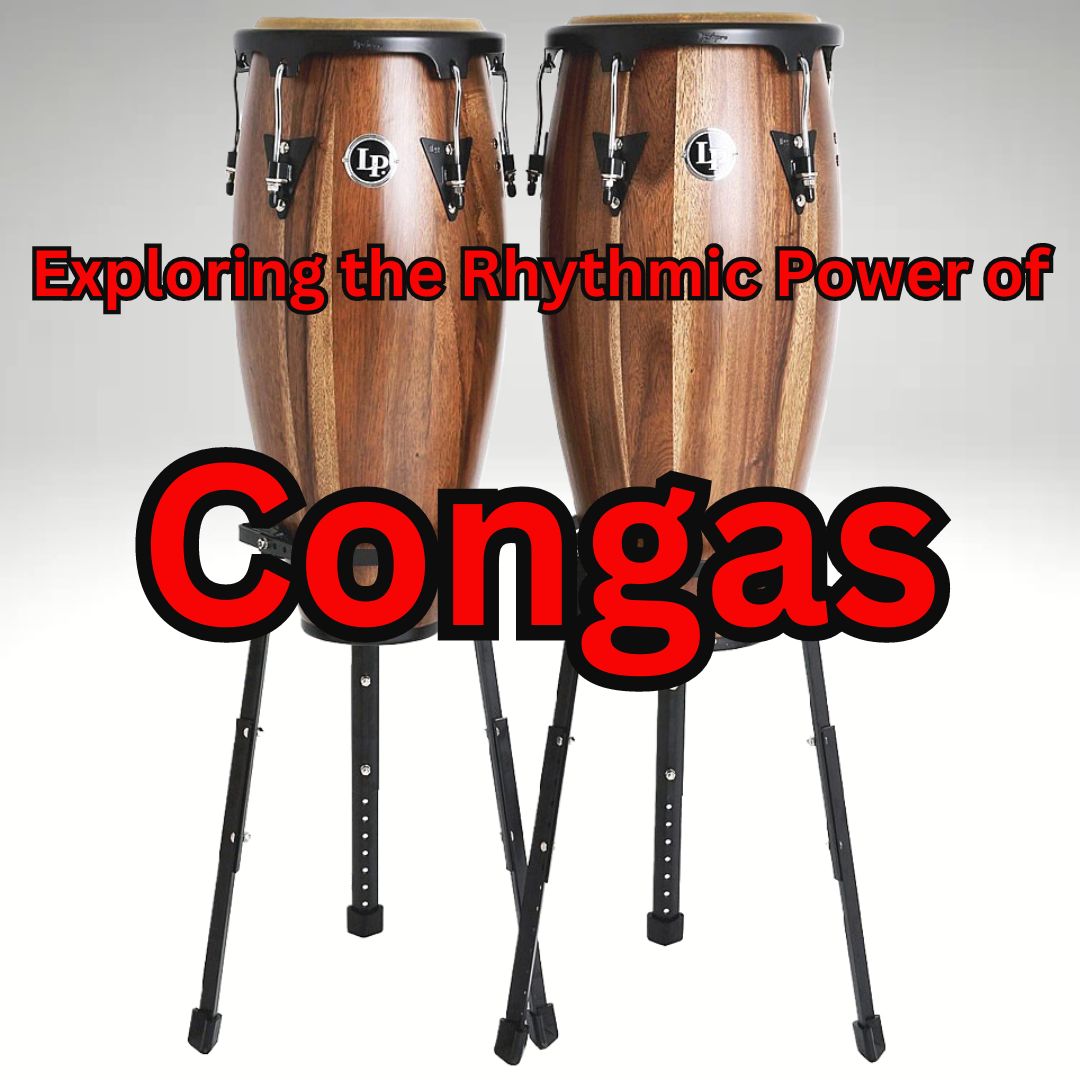 Exploring the Rhythmic Power of Congas: A Must-Have for Every ...