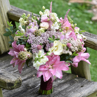 Lily Double Oriental Roselily Editha - 5 bulbs - Longfield Gardens