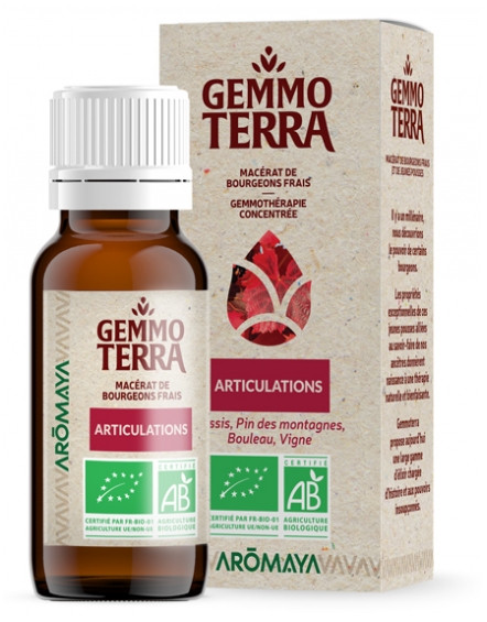 Gemmo Terra Articulations Bio 30 ml - Steych
