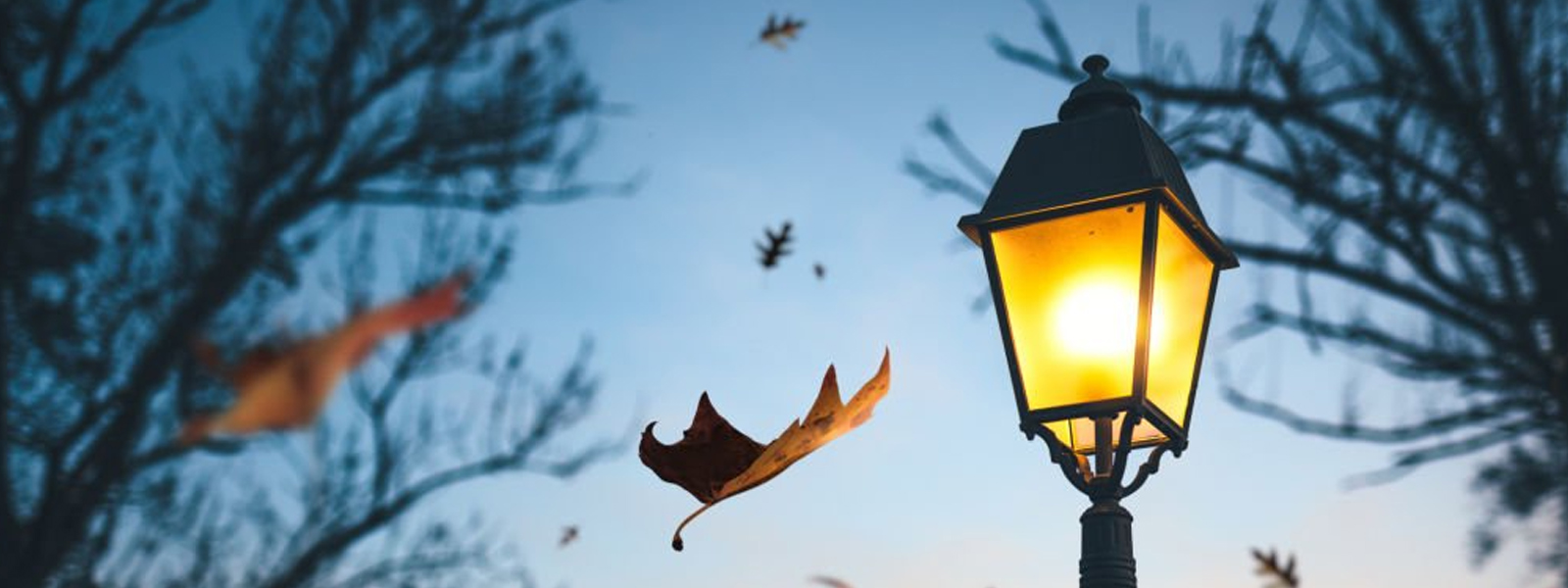 It's Cozy Season: Your Guide to Fall Lighting - LightbulbWholesaler.com