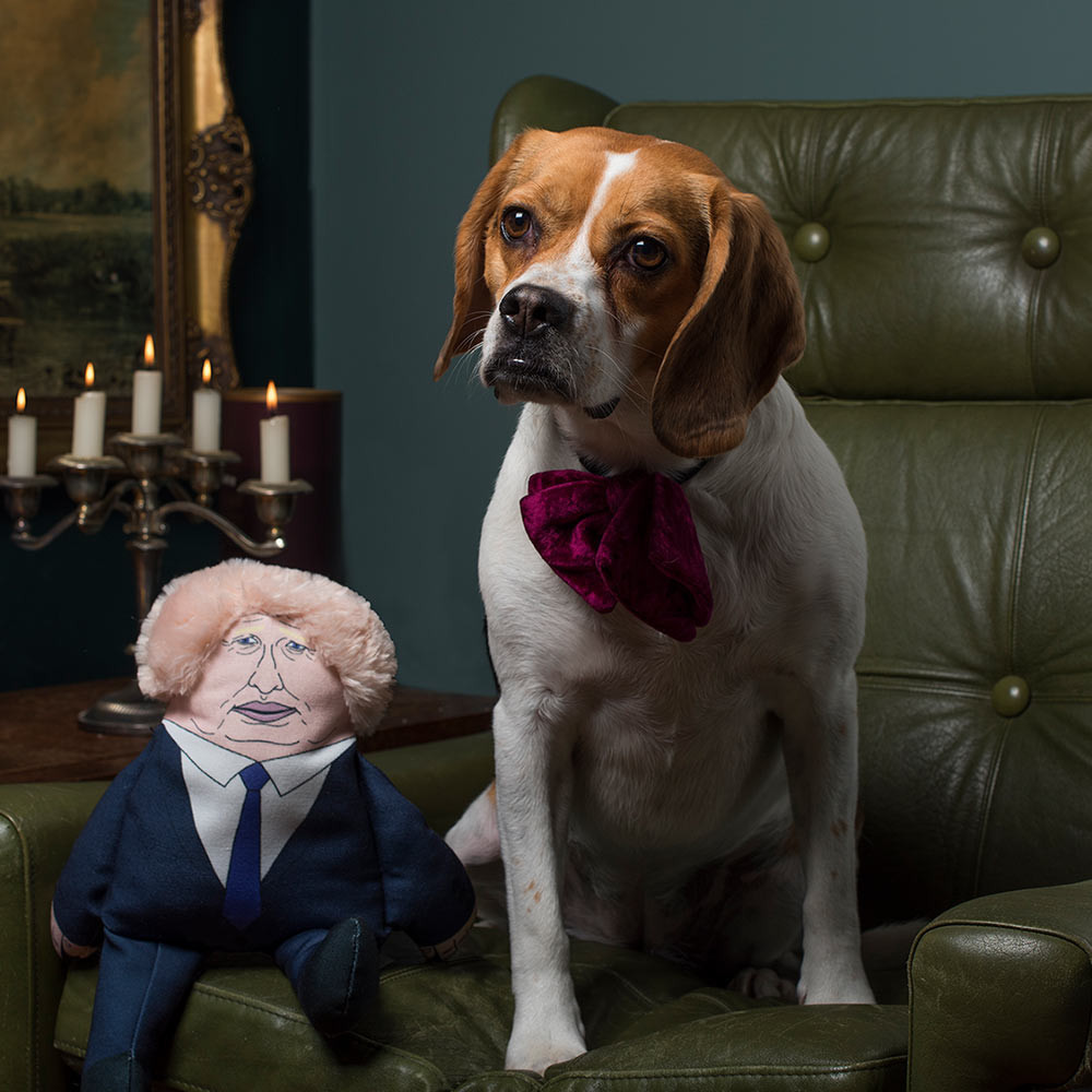 Pet Hates Politician Chew Toys