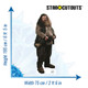 Harry Potter Hagrid Lifesize Cardboard Cutout