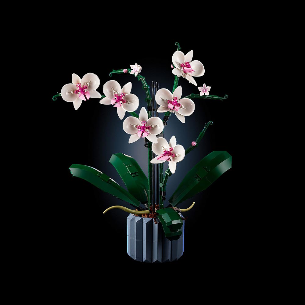 LEGO Botanicals: Orchid