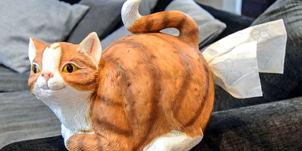 The 10 Best Unusual Gifts for Christmas - Menkind