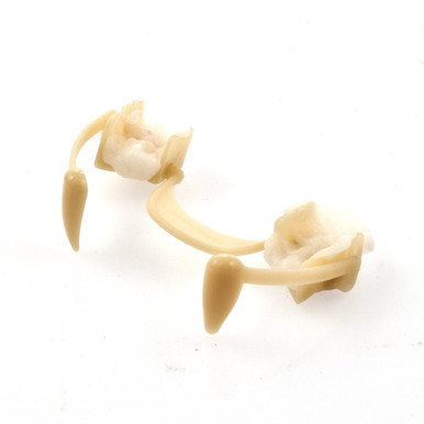 Special FX Fangs