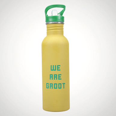 Marvel Groot Metal Water Bottle