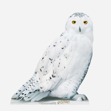 Harry Potter Hedwig Cardboard Cutout