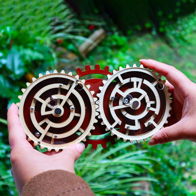 Double Trouble 3D Gear Maze Puzzle