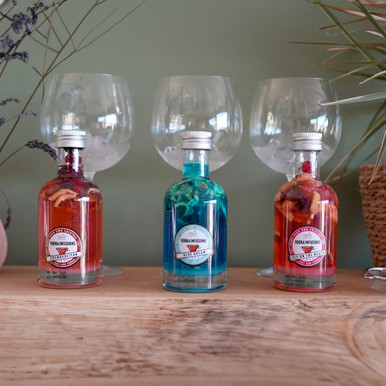 Treat Factory Vodka Infusion Kit Set of 3 | Menkind