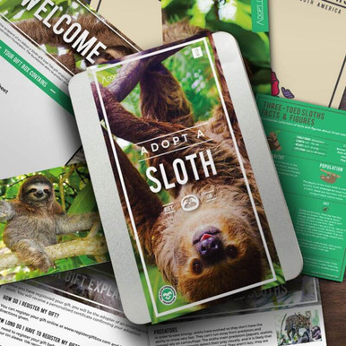Adopt a Sloth Kit