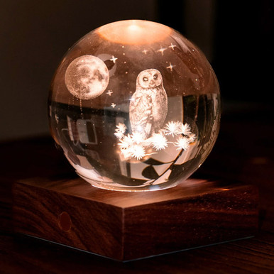 Owl & Moon Crystal Light | Menkind