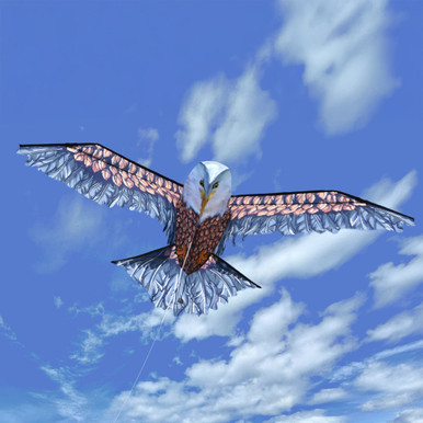 3D Eagle Kite | Menkind
