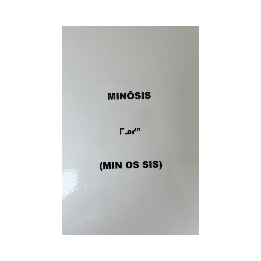 Flash Cards Learning Cree Animals