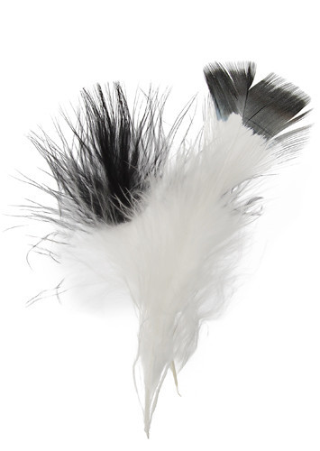 BEADING & REGALIA & CRAFT - FEATHERS - Western Varieties