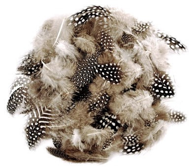 BEADING & REGALIA & CRAFT - FEATHERS - Western Varieties