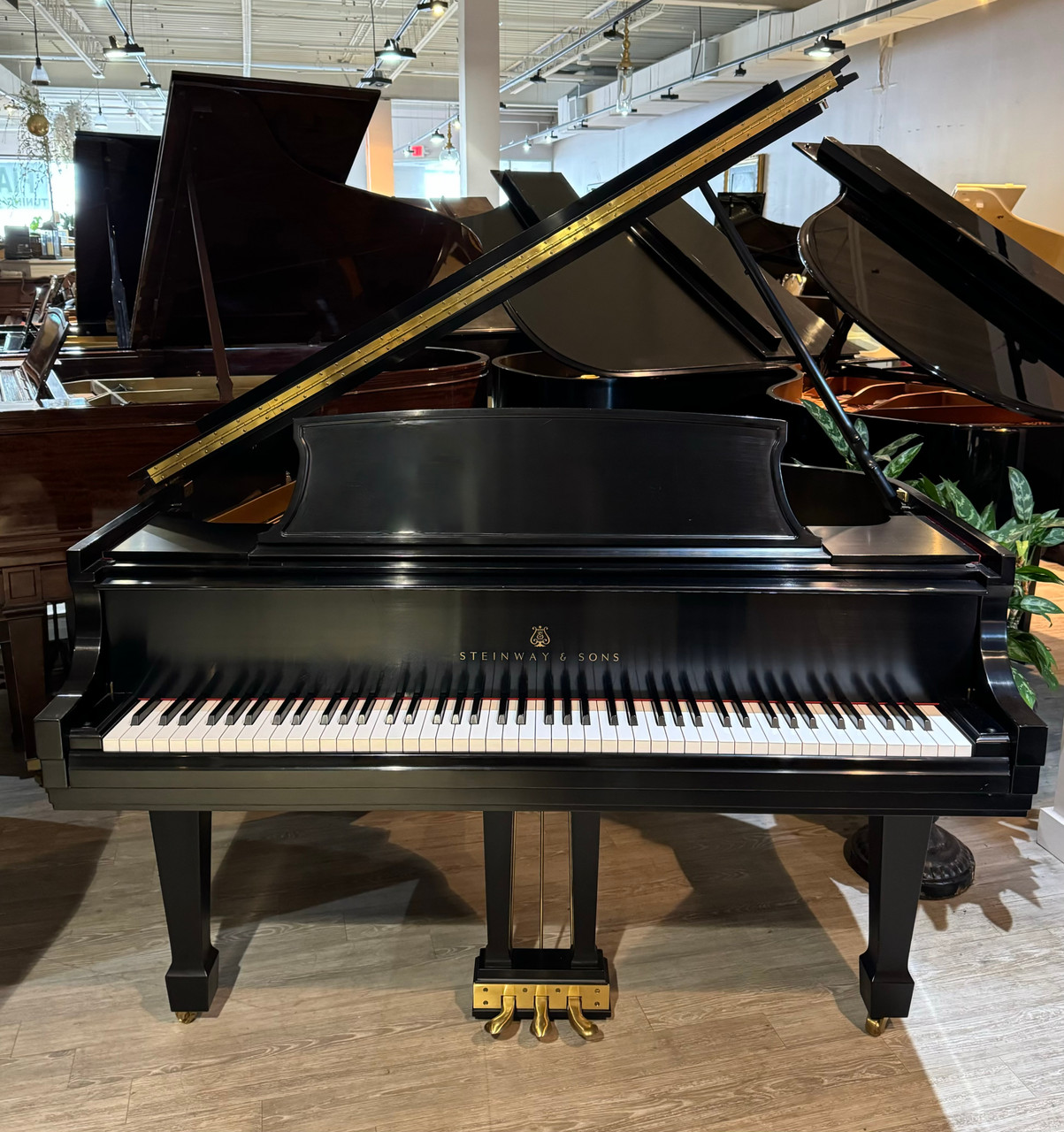 Steinway & Sons Model S Professional Baby Grand Piano, Yr 2005 - The ...