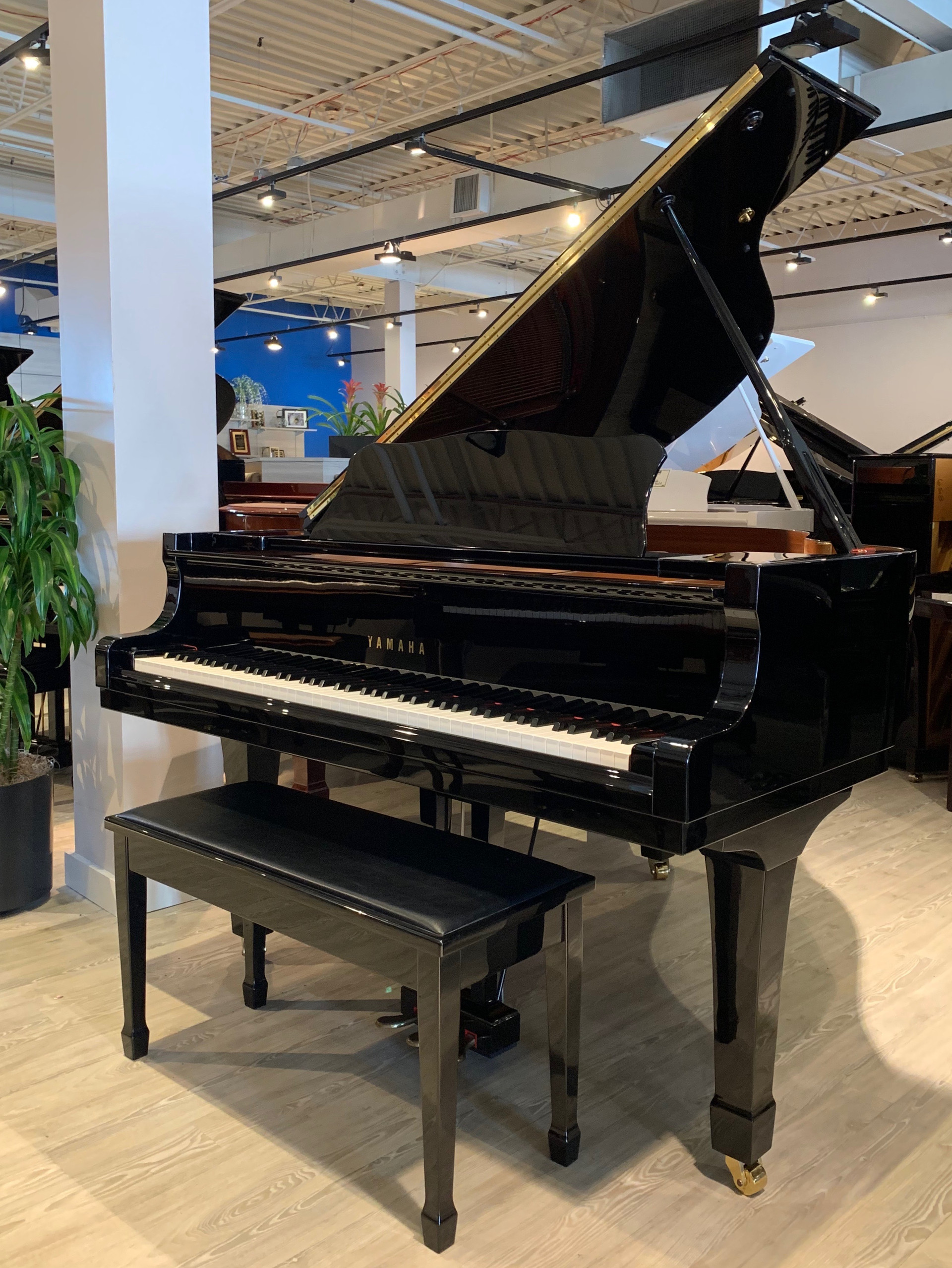 Yamaha C1 Baby Grand Piano - The Original Frank and Camille's Pianos