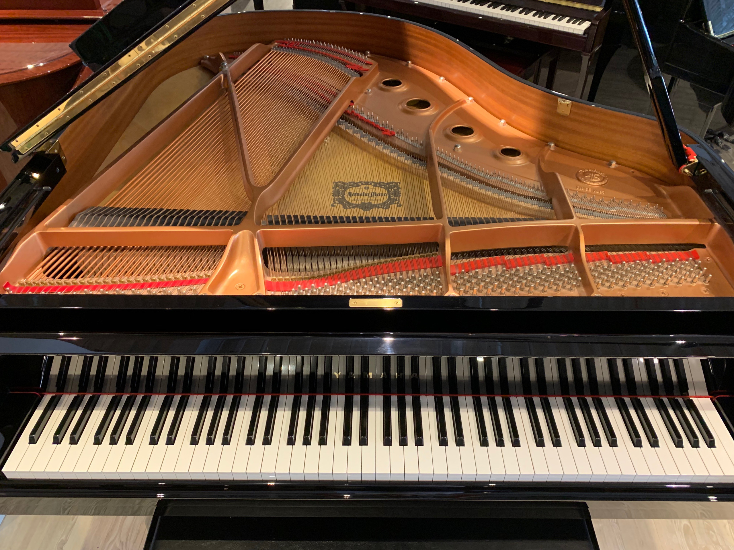 Yamaha C1 Baby Grand Piano - The Original Frank and Camille's Pianos