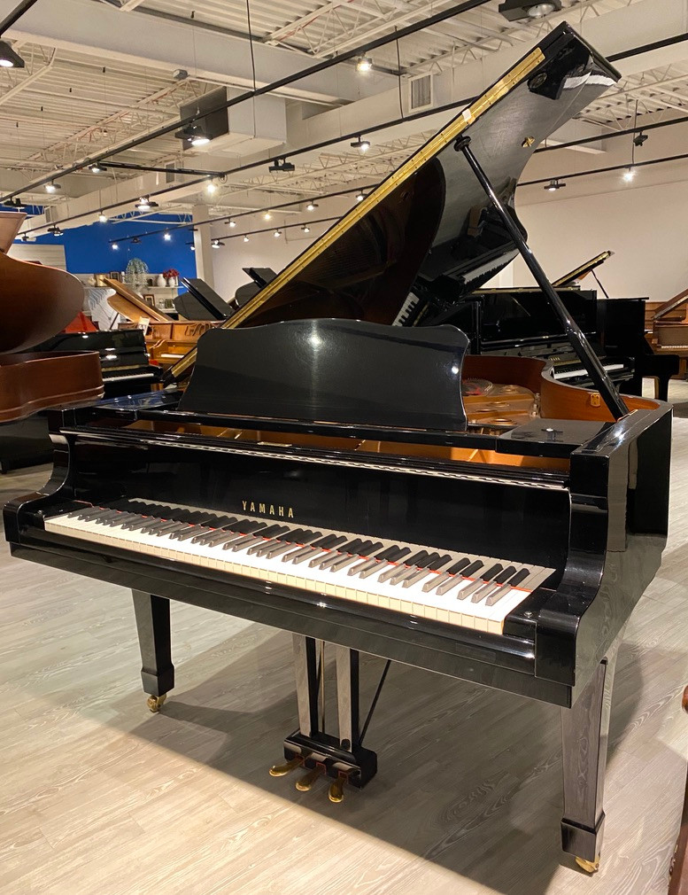 Yamaha C6 Semi Concert Grand Piano - The Original Frank and Camille's ...