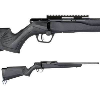 SPRINGFIELD 2020 RIMFIRE 22LR TARGET SAGE WEB | The Outpost - Arms ...
