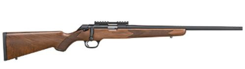 SPRINGFIELD 2020 RIMFIRE 22LR CLASSIC GRADE AA WALNUT | The Outpost ...