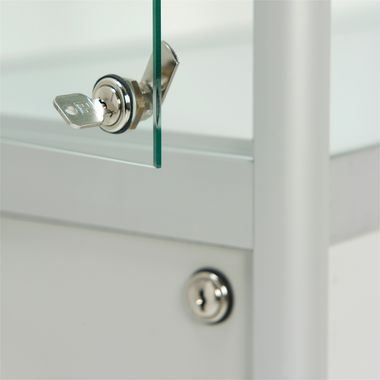 PICTOR Showcase with Lockable Cabinet | 3 Adjustable Shelves - Magnuson ...