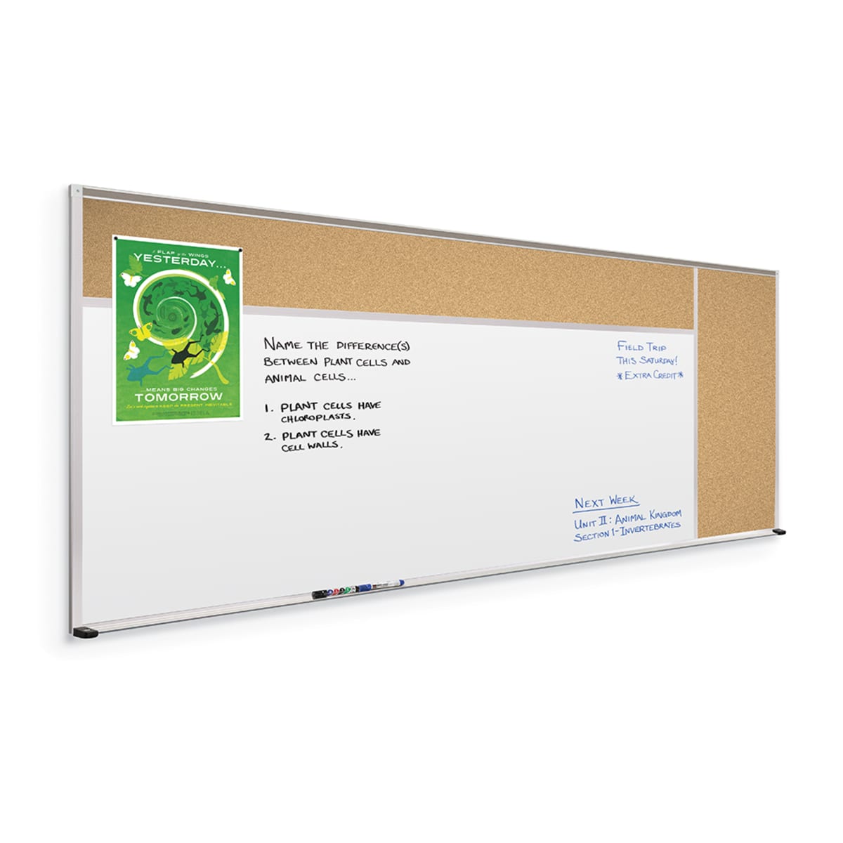 Natural Cork Type D Modular Combo-Rite Board - MooreCo | Affordable ...