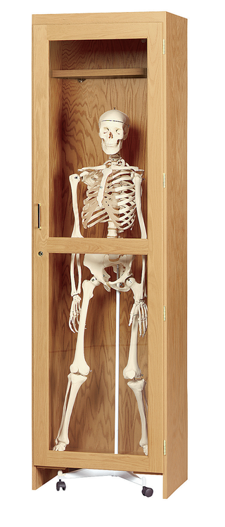 PerpetuLab Roll-In Skeleton Cabinet - Diversified 377-2422 | Affordable ...