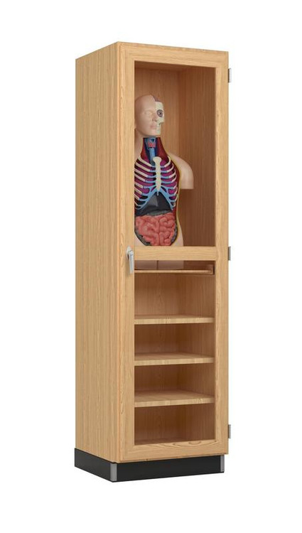 PerpetuLab Torso Cabinet - Diversified 374-2422 | Affordable Science ...