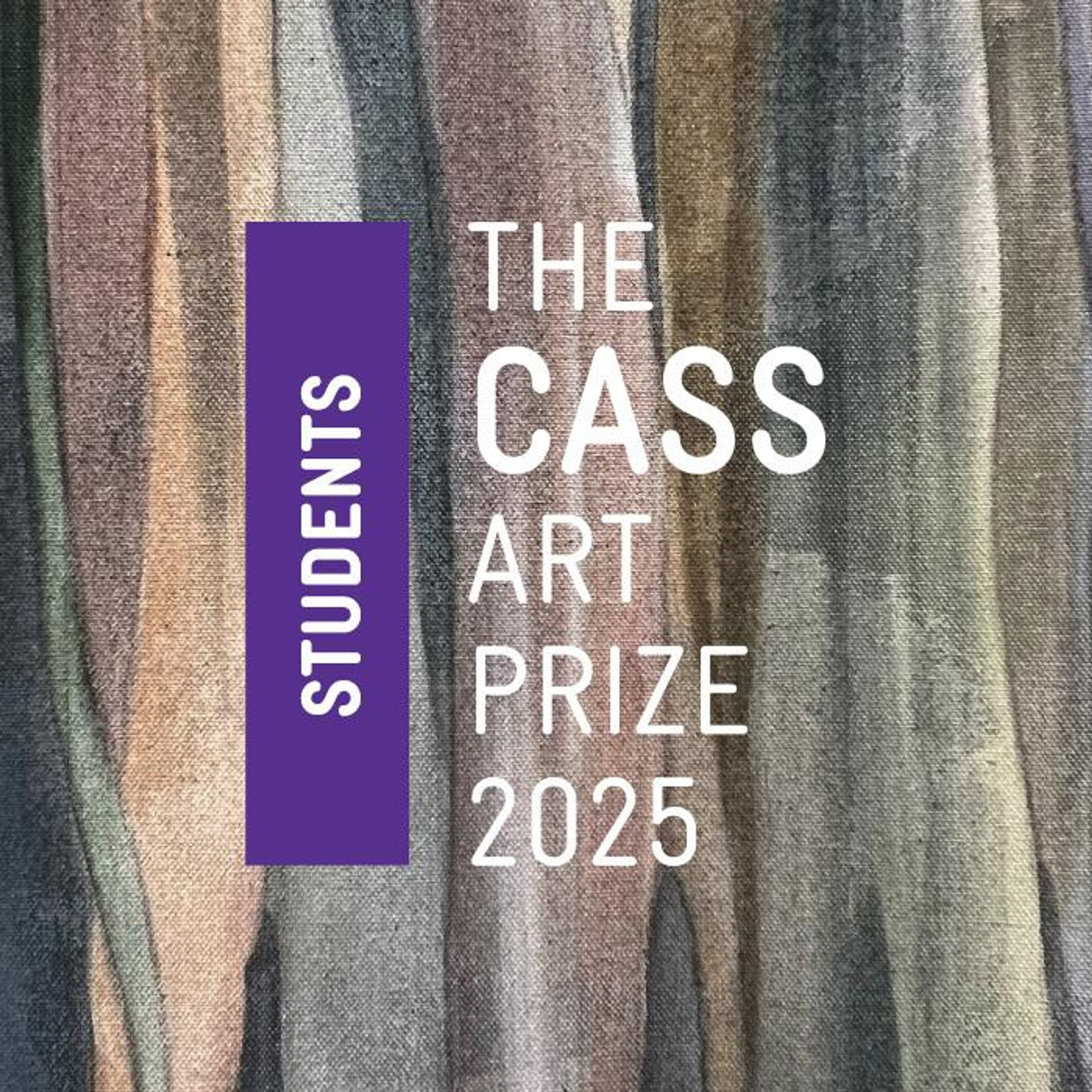 The Cass Art Prize Prizes And Awards