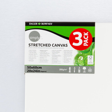 Daler Rowney Simply Value Canvas Triple Pack | Cass Art