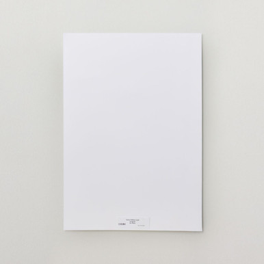 Frisk Card 20 Sheets 300gsm A2 Velvet White | Cass Art